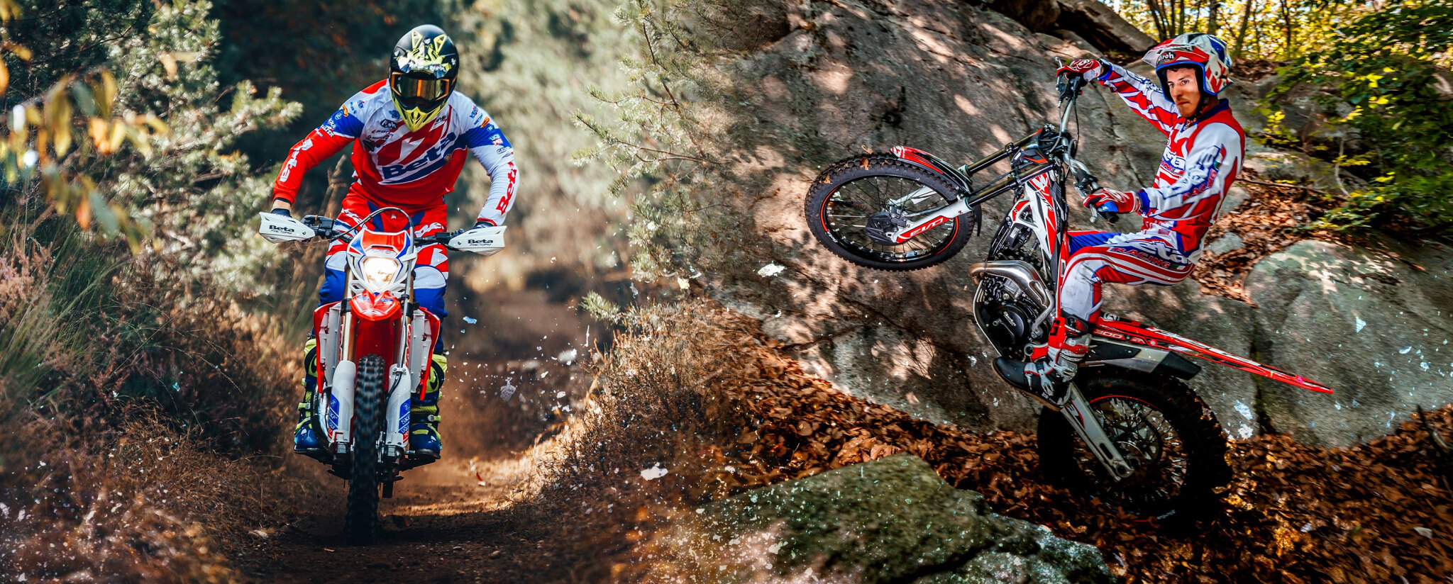 Who We Are | Cord Country Beta | Haliburton, ON | 705-488-1782